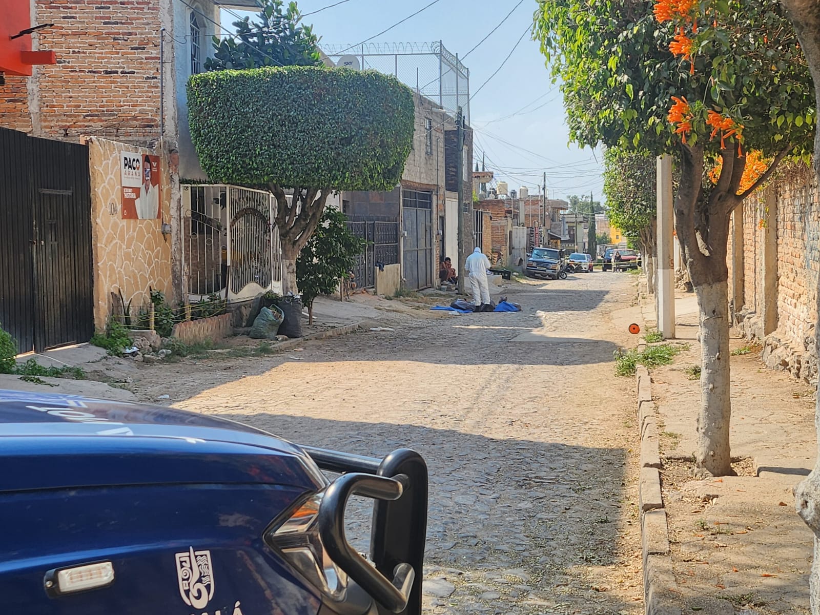 Realizan Envenenamiento Masivo De Perros En Colonia De Tonalá